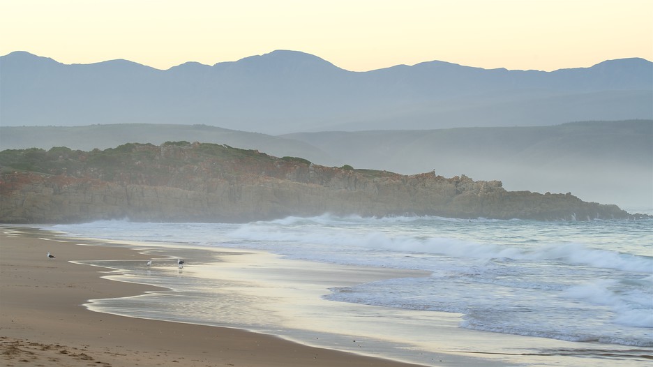 Plettenberg Bay Beach in Plettenberg Bay, | Expedia