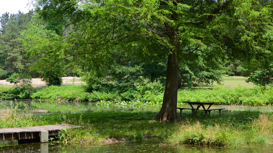 Pemberton Historical Park in Salisbury, Maryland | Expedia