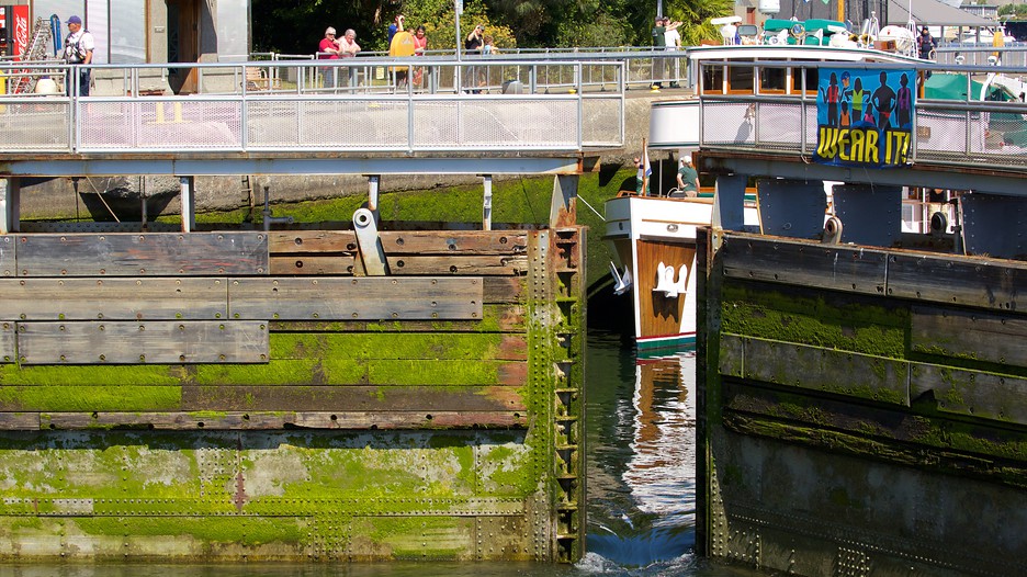 Hiram M. Chittenden Locks in Seattle, Washington | Expedia