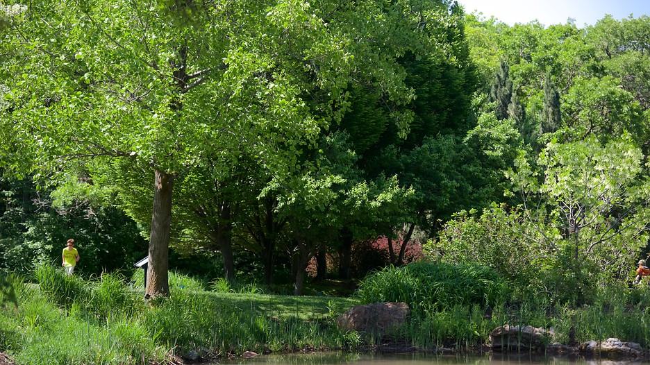 Red Butte Garden and Arboretum in Salt Lake City, Utah | Expedia
