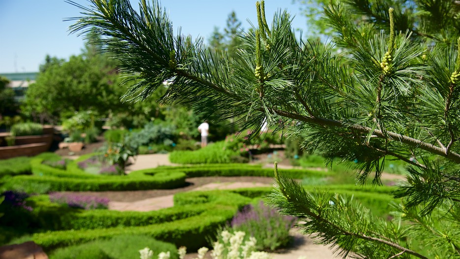 Red Butte Garden and Arboretum in Salt Lake City, Utah | Expedia