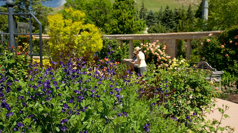 Red Butte Garden and Arboretum in Salt Lake City, Utah | Expedia