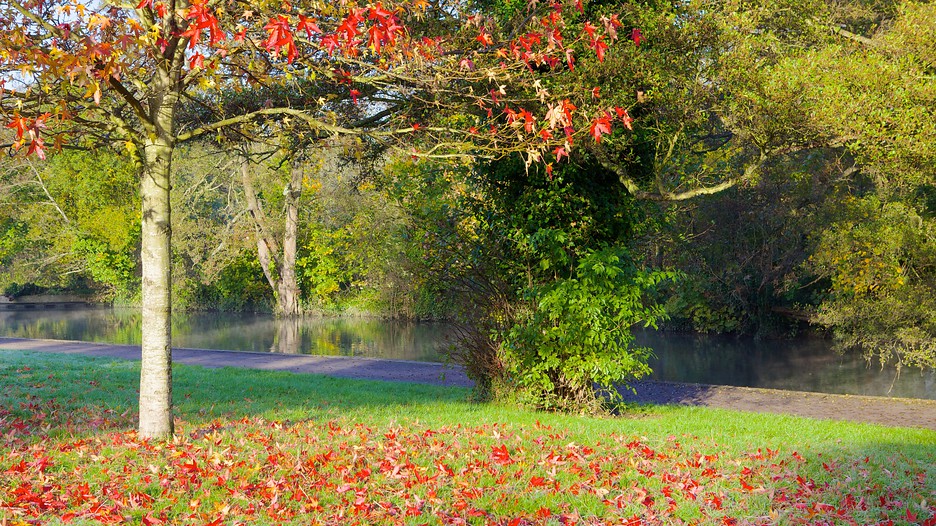 Riverside Park in Southampton, England | Expedia