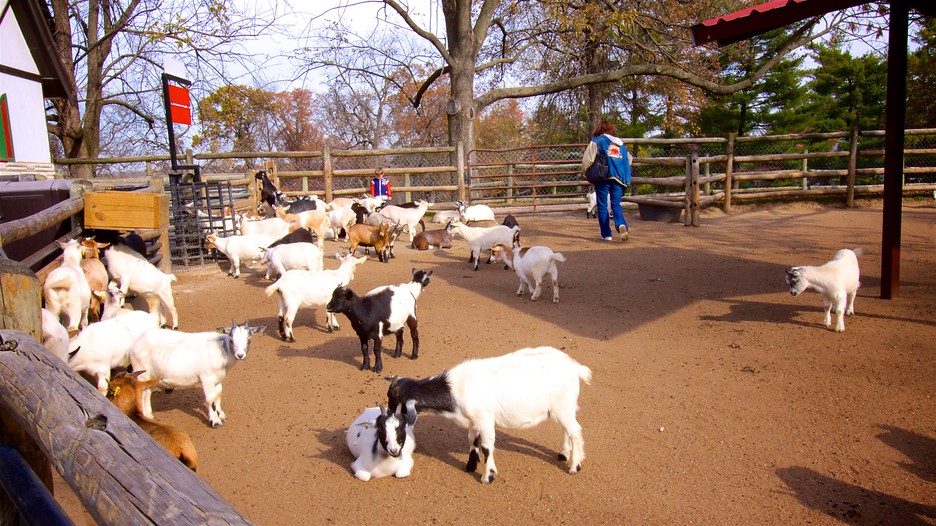 Grants Farm in St. Louis, Missouri | Expedia