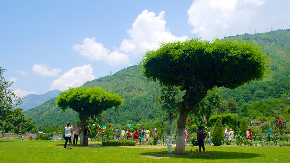 Chashma Shahi Garden - Srinagar ｜Expedia.co.in