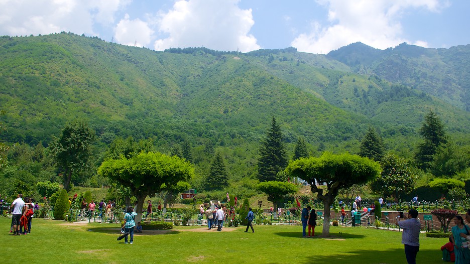 Chashma Shahi Garden - Srinagar ｜Expedia.co.in