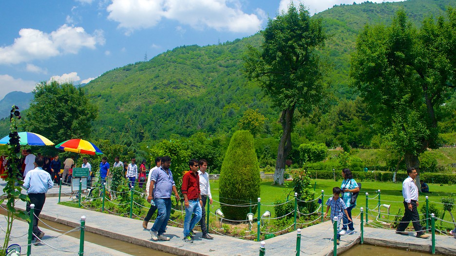 Chashma Shahi Garden - Srinagar ｜Expedia.co.in