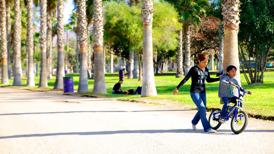 Parque Morelos in Tijuana, Baja California Norte | Expedia