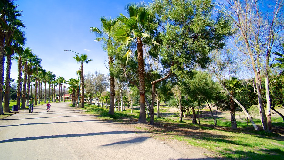 Parque Morelos in Tijuana, Baja California Norte | Expedia