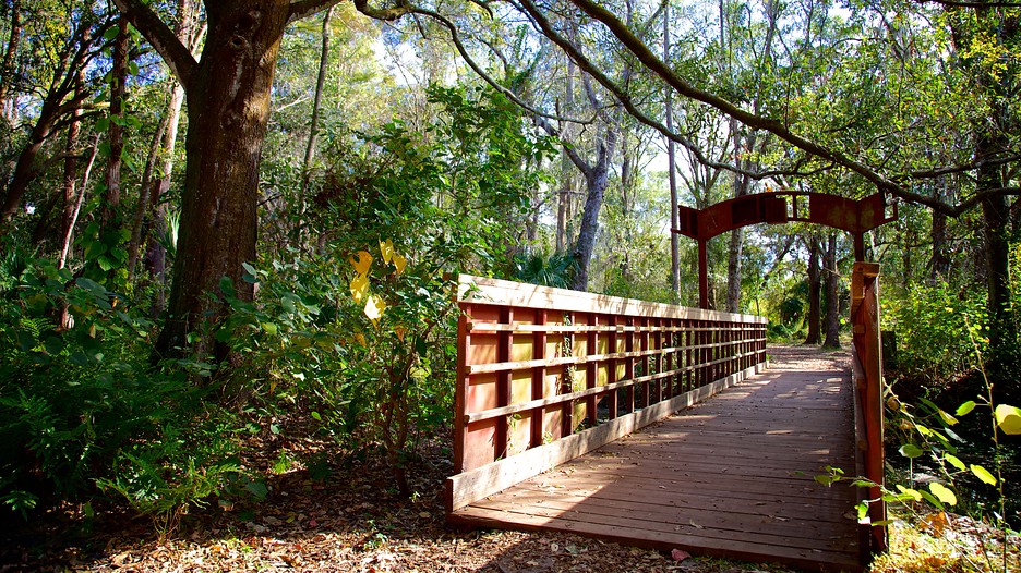 Al Lopez Park in Tampa, Florida | Expedia