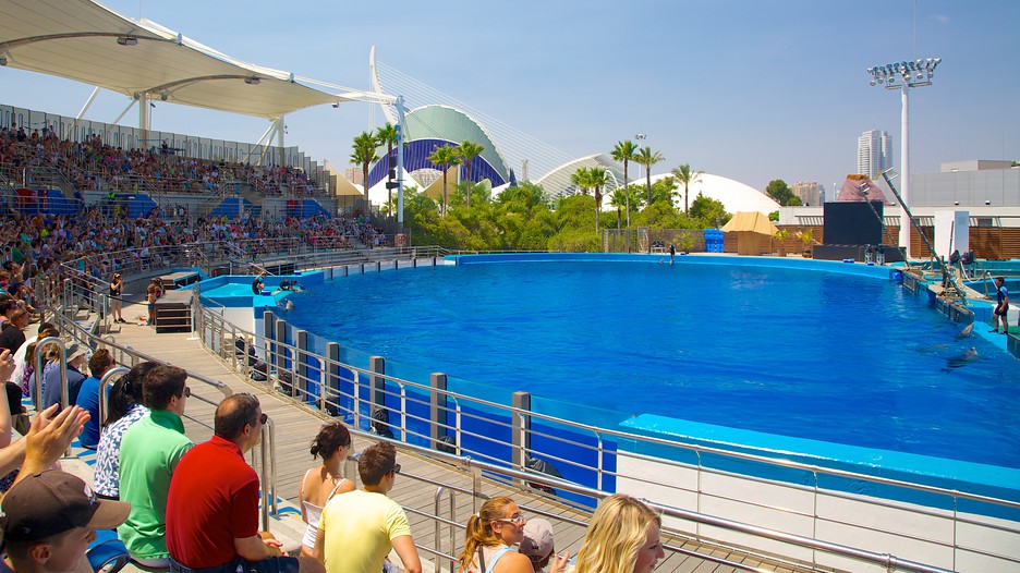 Oceanografic Valencia Spain