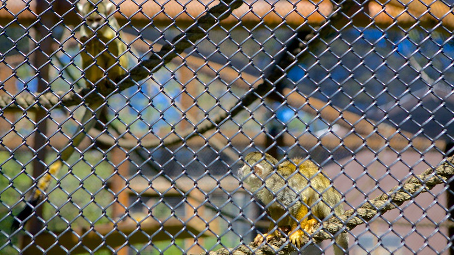 Magnetic Hill Zoo in Moncton, New Brunswick | Expedia.ca