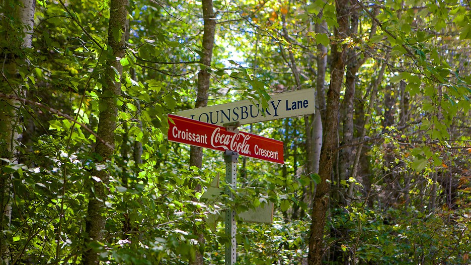 Magnetic Hill Zoo in Moncton, New Brunswick | Expedia.ca