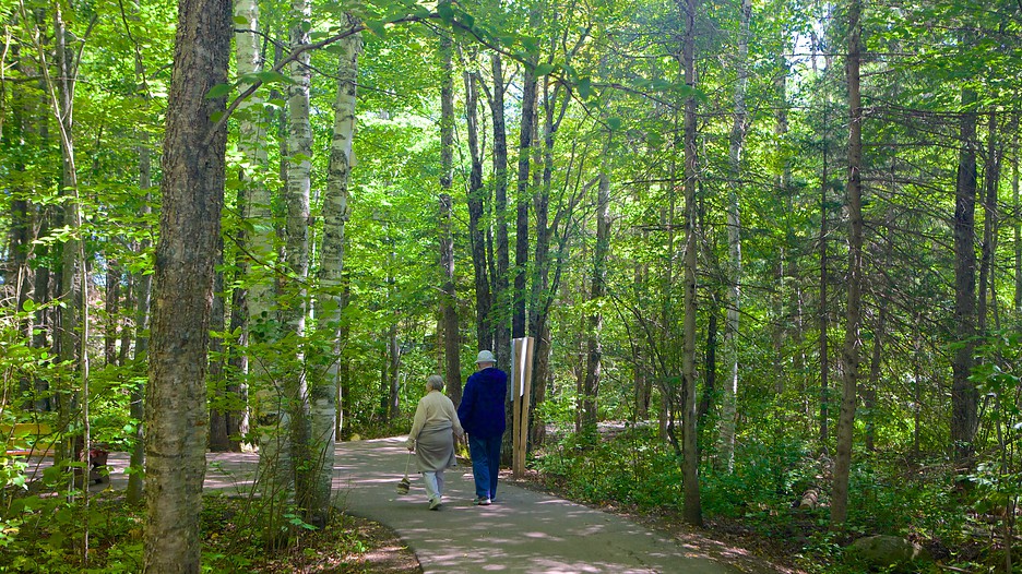 Magnetic Hill Zoo in Moncton, New Brunswick | Expedia.ca
