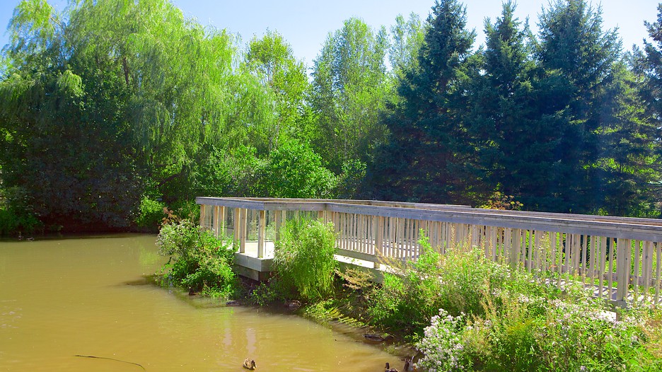 Magnetic Hill Zoo in Moncton, New Brunswick | Expedia.ca