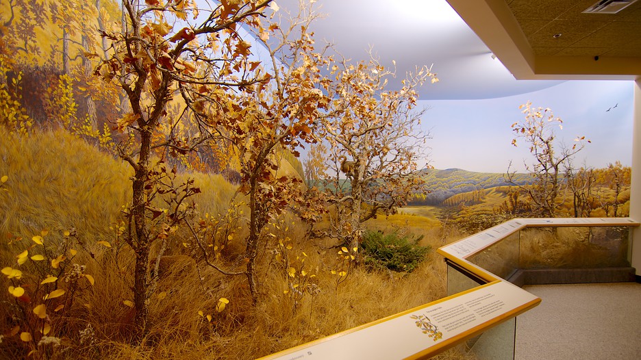 The Best Regina Vacation Packages 2017: Save Up to $C590 on our Deals ...