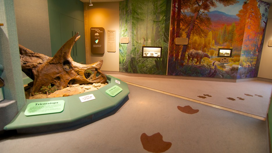 Royal Saskatchewan Museum in Regina, Saskatchewan | Expedia