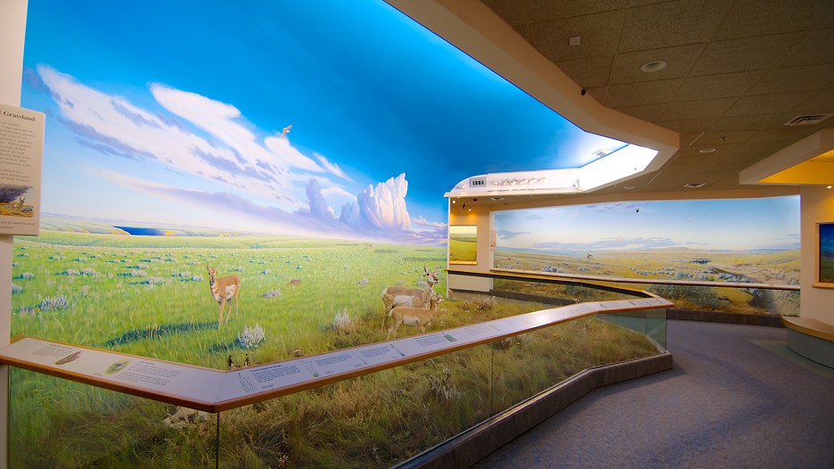 Royal Saskatchewan Museum in Regina, Saskatchewan | Expedia