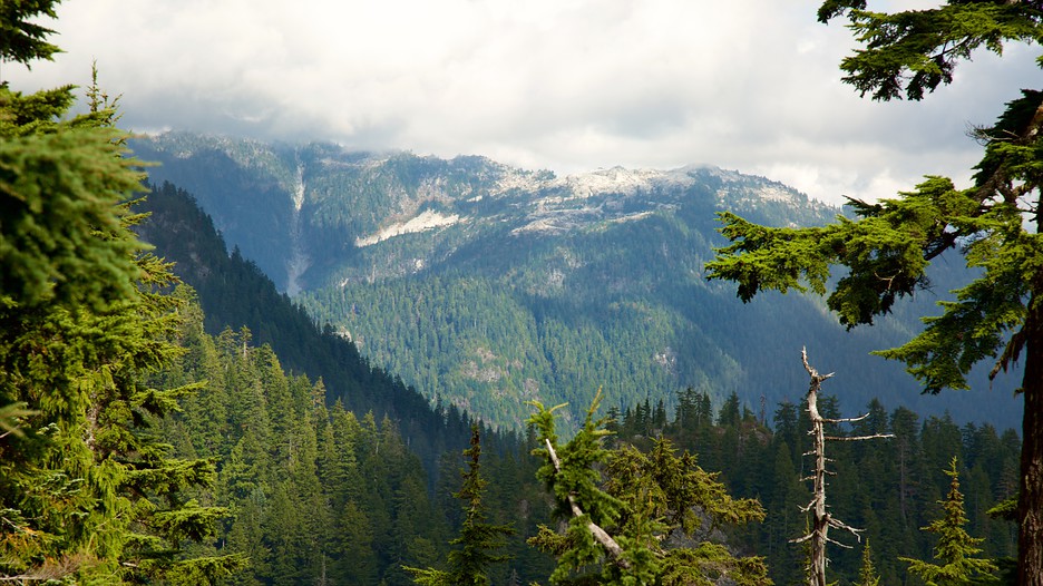 Grouse Mountain in Vancouver, British Columbia | Expedia