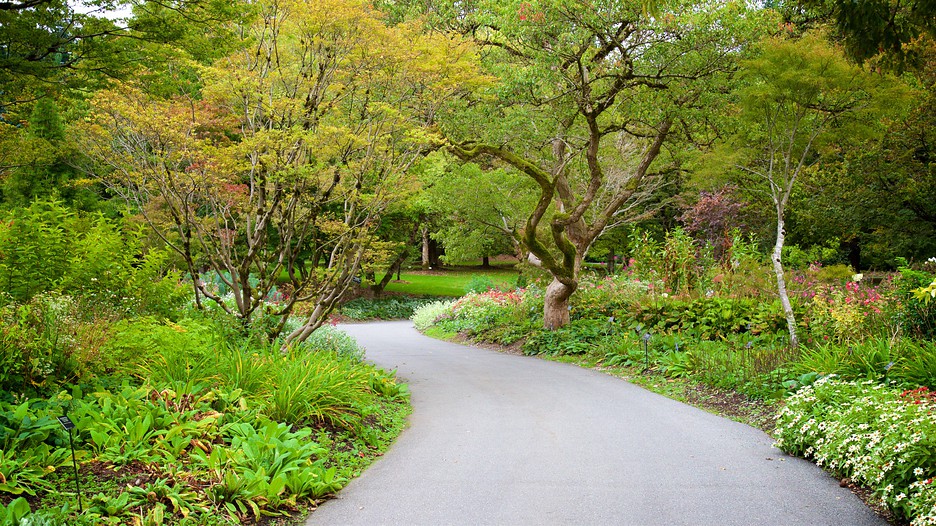 VanDusen Botanical Garden in Vancouver, British Columbia | Expedia