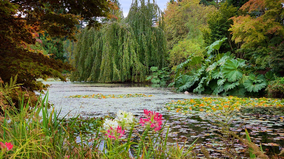 VanDusen Botanical Garden in Vancouver, British Columbia | Expedia