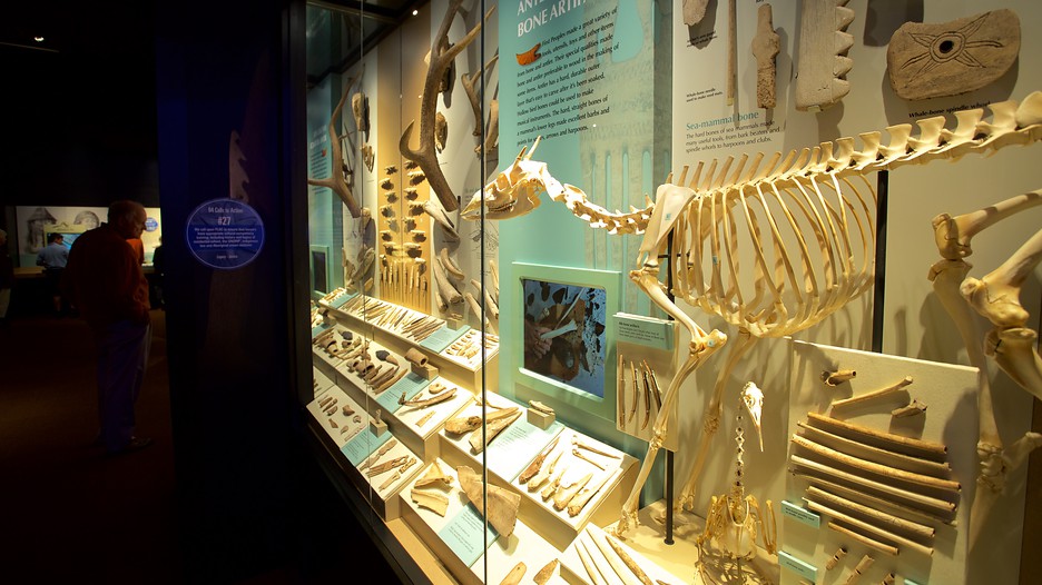 Royal BC Museum in Victoria, British Columbia | Expedia