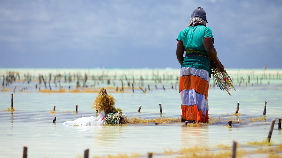 Zanzibar Vacations 2017: Package & Save up to $603 | Expedia