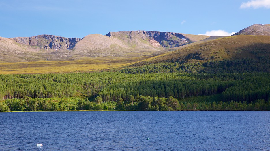 Loch Morlich in Aviemore, Scotland | Expedia