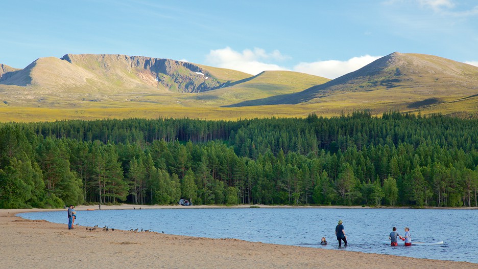 Loch Morlich in Aviemore, Scotland | Expedia