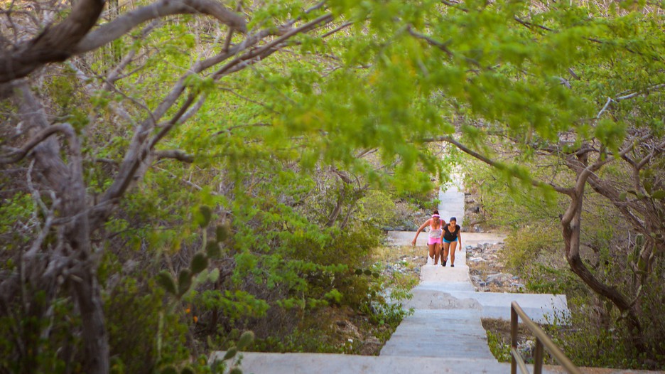 Hooiberg in Oranjestad, | Expedia