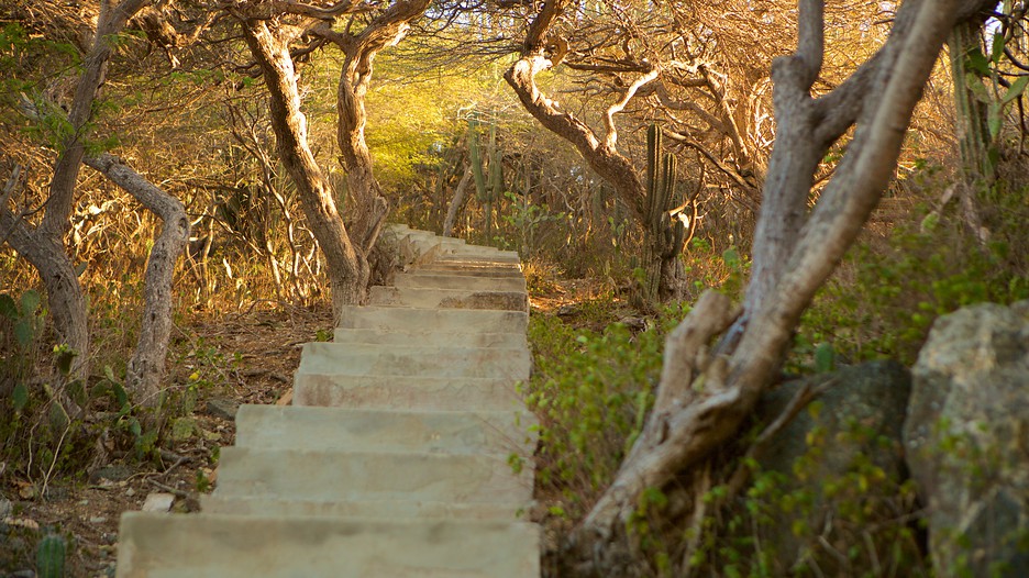 Hooiberg in Oranjestad, | Expedia