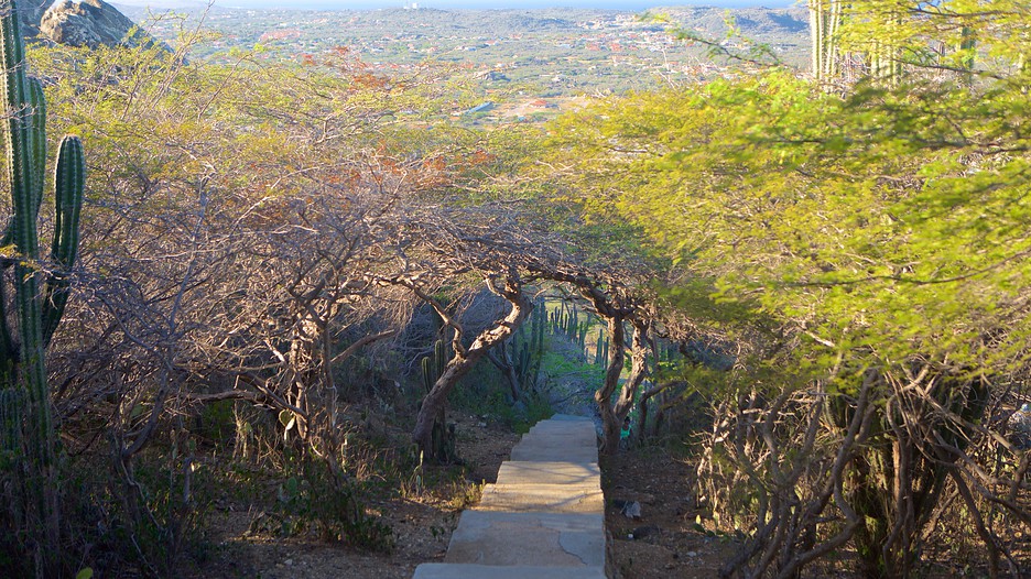 Hooiberg in Oranjestad, | Expedia