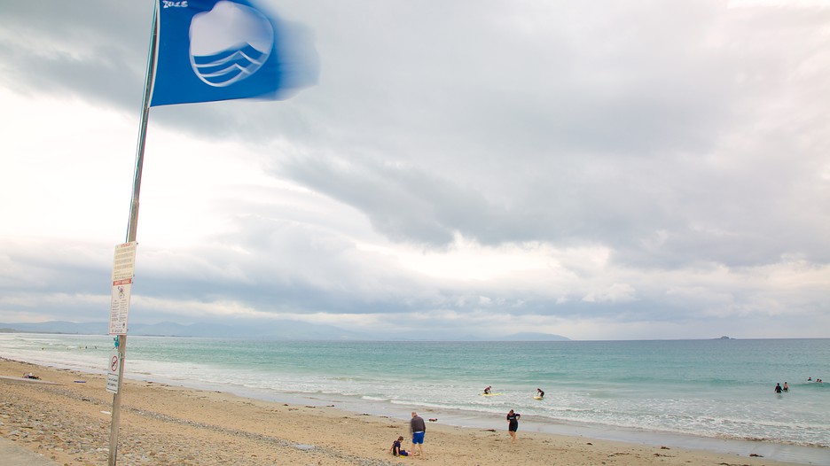 Banna Beach in Tralee, | Expedia