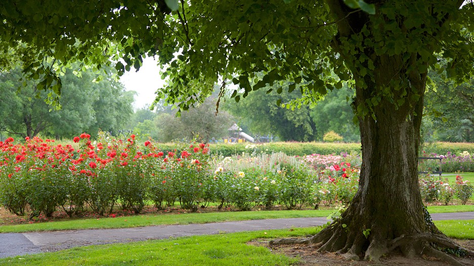 Tralee Town Park in Tralee, | Expedia