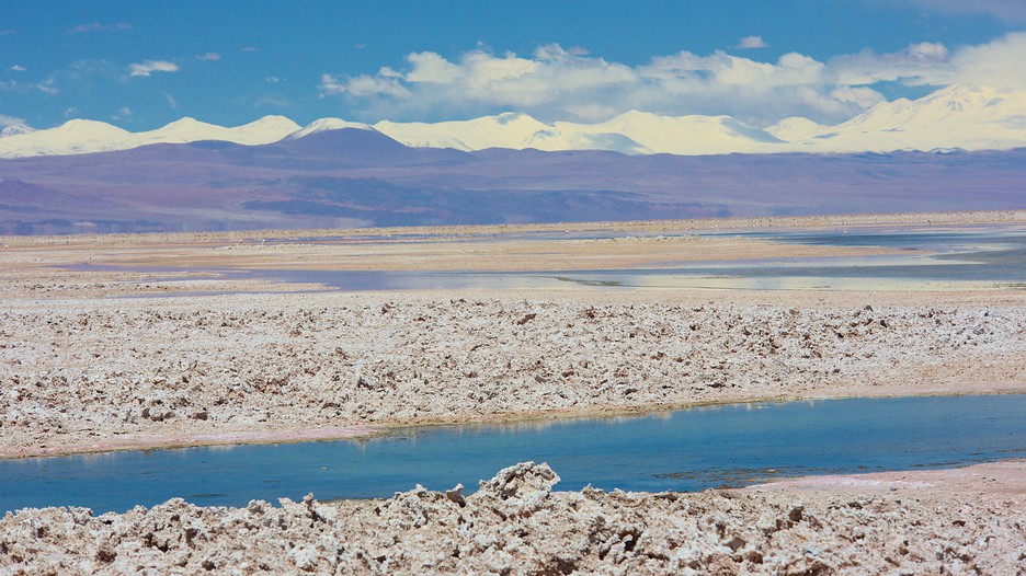 Chaxa Lagoon in San Pedro de Atacama, | Expedia