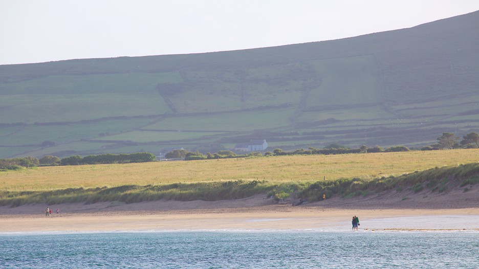 Ventry Beach in Dingle, | Expedia