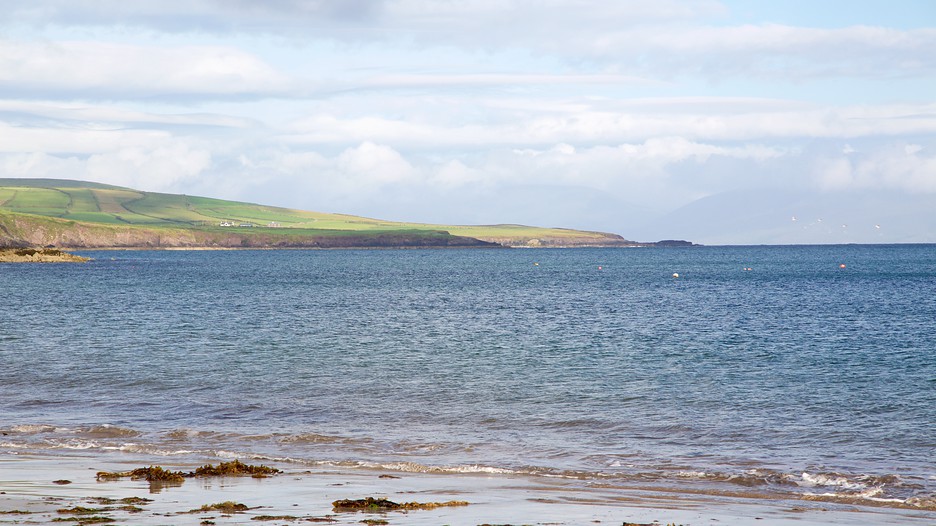 Ventry Beach in Dingle, | Expedia