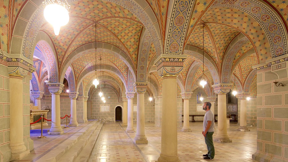 Pecs Cathedral in Pecs, | Expedia
