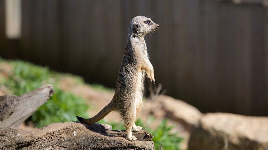 Marwell Zoo - Winchester, England Attraction | Expedia.com.au