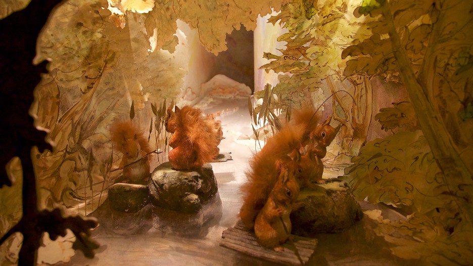 World of Beatrix Potter in Windermere, England | Expedia