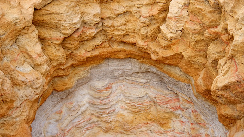 Dinosaur Ridge in Morrison, Colorado | Expedia