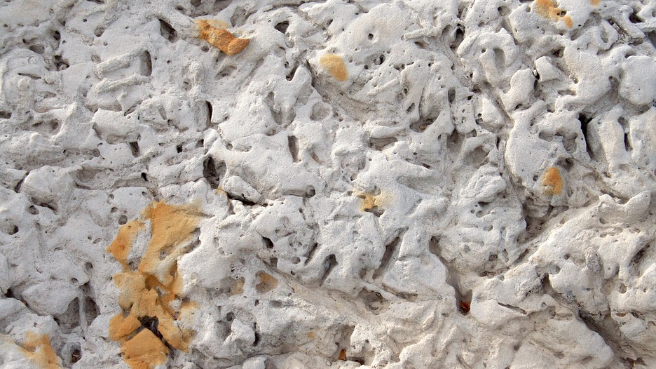 Dinosaur Ridge in Morrison, Colorado | Expedia