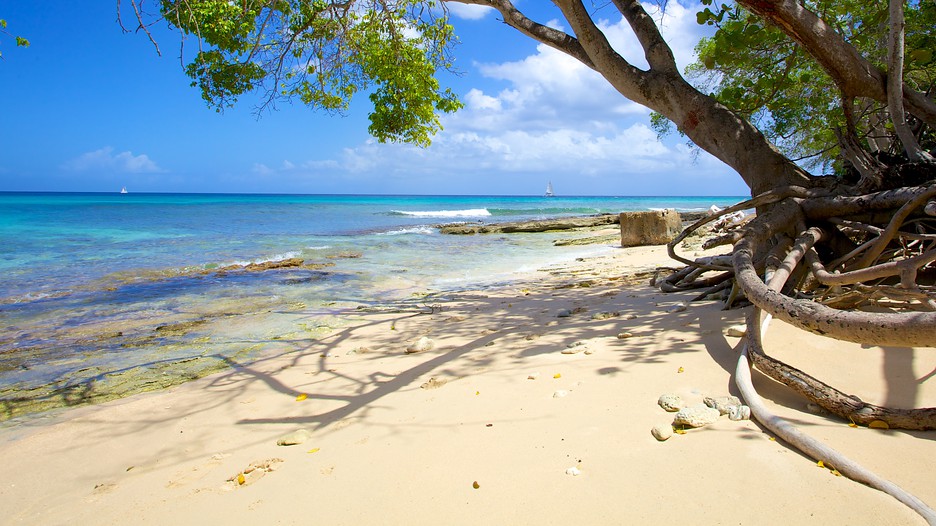 Paradise Beach in Bridgetown, | Expedia