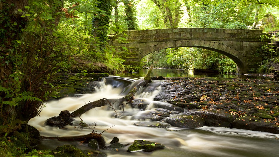 Rivelin Valley Nature Trail in Sheffield, England | Expedia