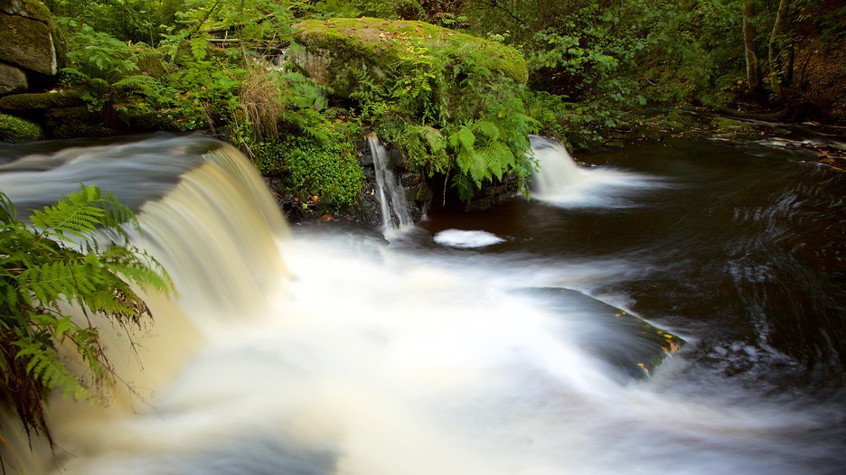 Rivelin Valley Nature Trail in Sheffield, England | Expedia