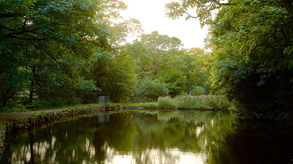 Rivelin Valley Nature Trail - Sheffield ｜Expedia.co.in