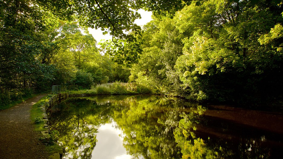 Rivelin Valley Nature Trail in Sheffield, England | Expedia