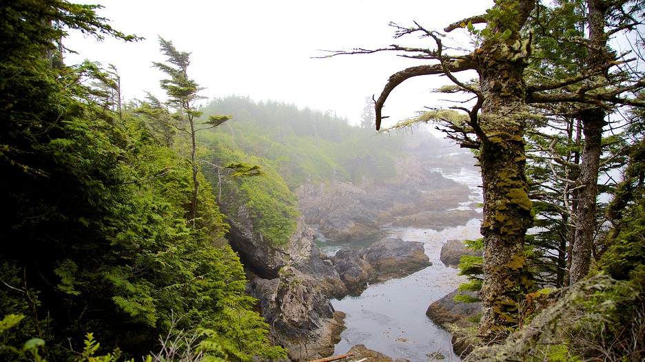 Vancouver Island Vacations 2017: Explore Cheap Vacation Packages | Expedia