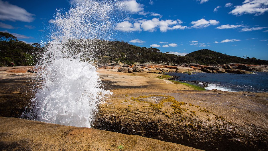 Bicheno Vacations 2017: Package & Save up to $603 | Cheap Deals on Expedia