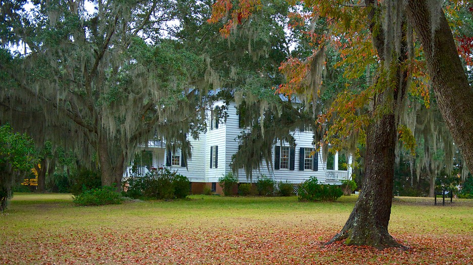 Hopsewee Plantation in Georgetown, South Carolina | Expedia.ca